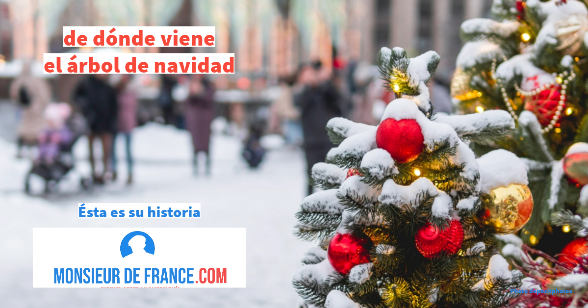 ¿Por qué un árbol de Navidad?