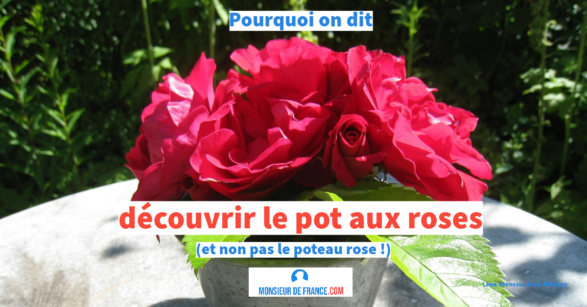 Pourquoi on dit découvrir le pot aux roses