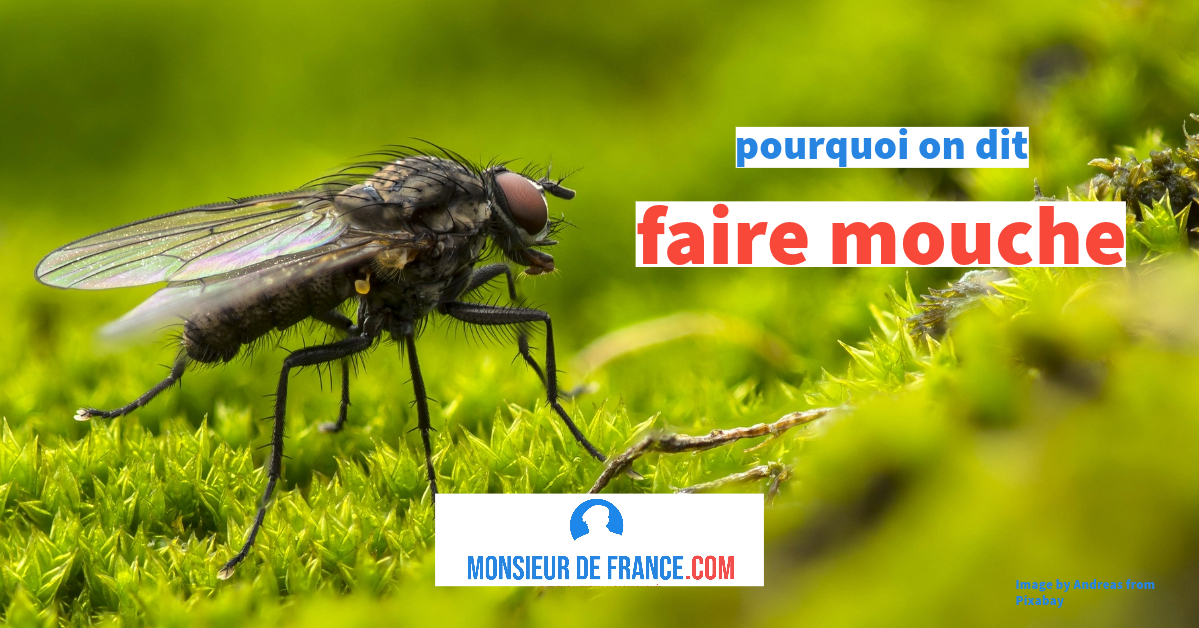 Pourquoi ont dit faire mouche
