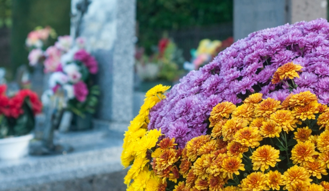 What is Toussaint in France?